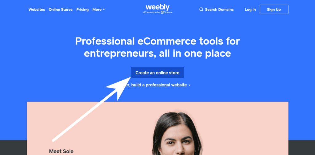 How to Create a Website with Weebly (Tutorial for Beginners) - HubsAdda